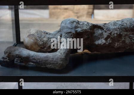Pompeiian inhabitants petrified in their last situation of life ...