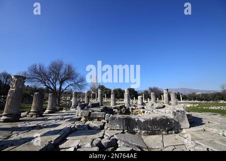Excavations of the Temple of Hekate in Lagina Ancient City and Ancient ...