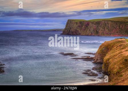 Cullykhan Beach and Bay Aberdeenshire Scotland the flowers and grasses ...
