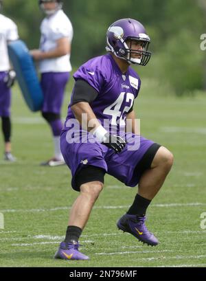 Minnesota Vikings fullback Jerome Felton catches a pass during a drill ...