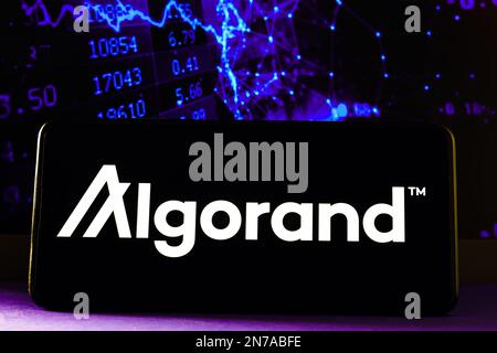 In this photo illustration the Algorand logo seen displayed on a ...