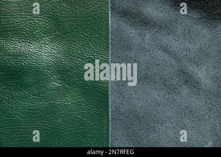 plain light green animal skin as background Stock Photo - Alamy