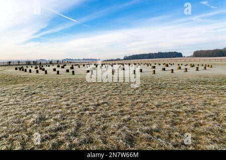 Frosty cold weather posts of Neolithic henge site, Woodhenge, Wiltshire ...