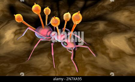 Cordyceps parasitic fungus growing on ant, illustration Stock Photo - Alamy
