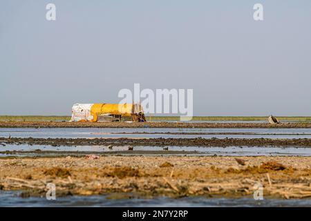 Traditional reed house of the Mesopotamian marshes from Iraqi money ...