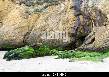 Baryte mineral veins in the sandstone rocks on the beach at Cullercoats ...