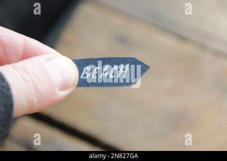 Beach idea. A hand holds a pointer with the inscription beach on a ...
