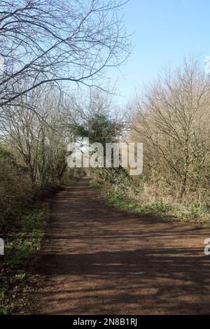 Ely Trail, Leckwith, Cardiff. Taken February 2023. winter.cym Stock ...