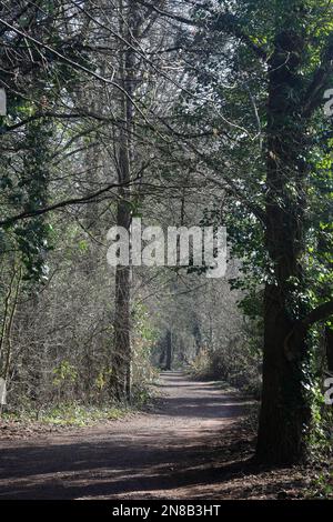 Ely Trail, Leckwith, Cardiff. Taken February 2023. winter.cym Stock ...