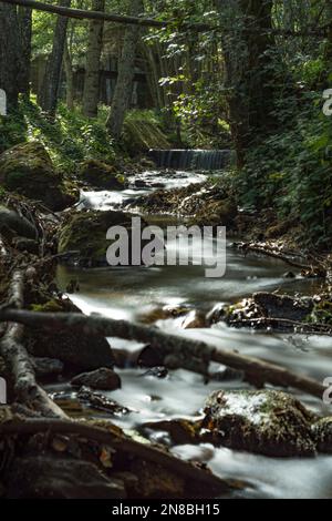 Stream in the Sila Park, Calabria Stock Photo - Alamy