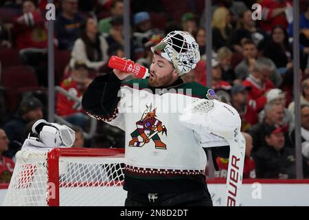 Arizona Coyotes goaltender Connor Ingram (39) catches the puck in front ...