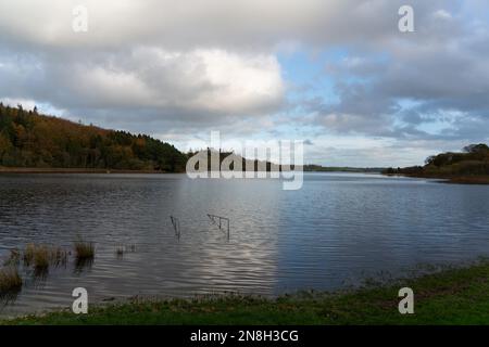 The peaceful lake Muckno in County Monaghan, Ireland with fluffy clouds ...
