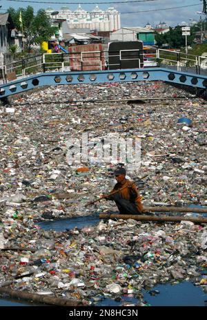 A scavenger collects plastic materials to be sold to recycling plants ...
