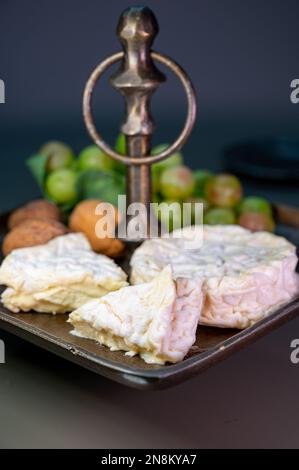 French cheeses collection, Saint-Félicien cow's milk cheese with white ...