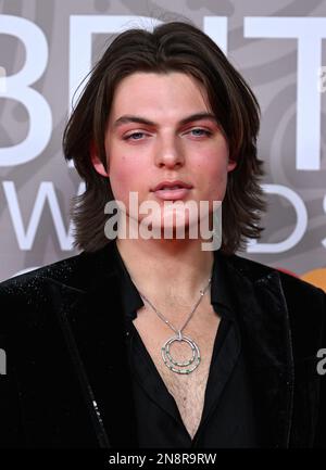 EDITORIAL USE ONLY - Damian Hurley at the 2023 Brit Awards, on February ...
