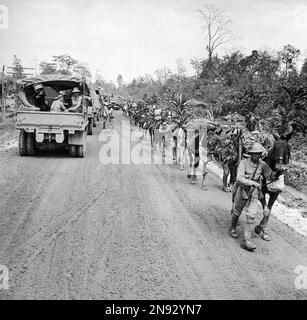 Chinese soldiers on the road between Beijing (Peiping) and Tianjin ...