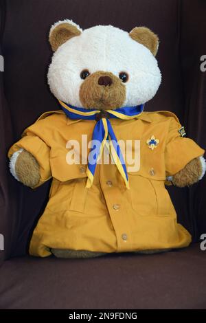 teddy bear in blue t-shirt on black couch Stock Photo - Alamy