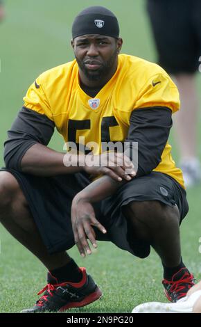 Pittsburgh Steelers linebacker Stevenson Sylvester (55) stops New ...