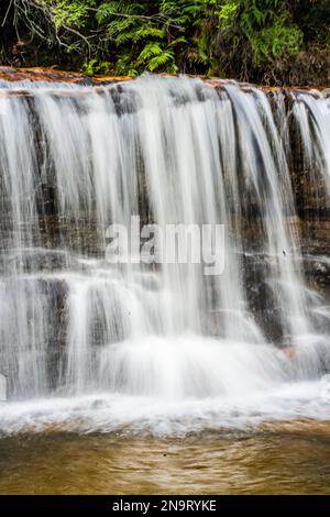 The Forest Waterfalls in Blue Mountains, Sydney, Australia Stock Photo ...