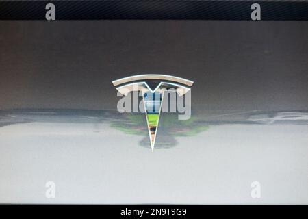 The Tesla logo insignia badge on the bonnet of an EV vehicle at a ...