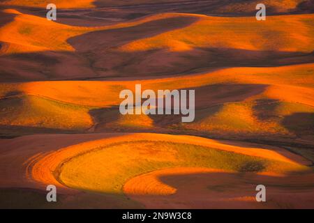 Eastern Washington Palouse vast expanse desert view Columbia River ...