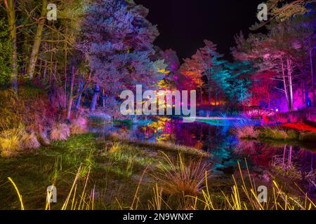 Illuminations around the lake at Blue Pool in Dorset Stock Photo - Alamy