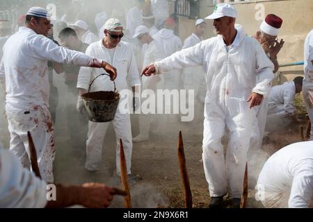 Members of the ancient Samaritan community cook skewered Passover ...