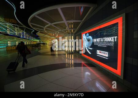 An elephant awareness poster is displayed in an airport; Chicago ...