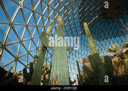 Henry Doorly Zoo - Desert Dome Stock Photo - Alamy