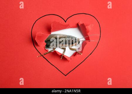 Valentine's Day Promotion Name Roach - QUIT BUGGING ME. Cockroaches on ...