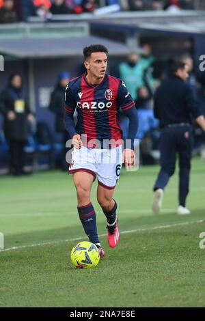 Nikola Moro of Bologna FC in action during the Serie A football match ...