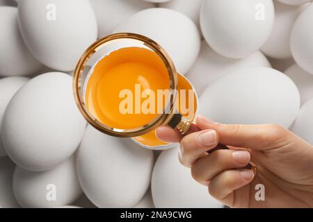 Magnifying glass focusing on chicken egg, closeup. Food control Stock ...