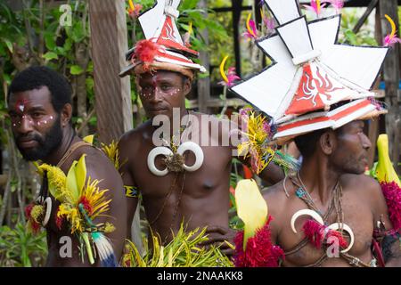 Sing sing dance on Tuam Island of the Siassi, Papua New Guinea Stock ...