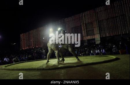 Kelly Gneiting, three times US champion, left, fights with Byambajav ...
