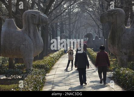 Avenue of sculptures at Mingxiaoling, the tomb of the first Ming ...