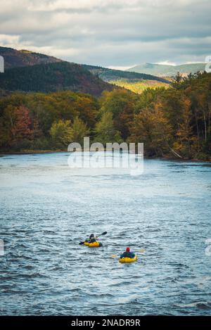 Two paddlers going down river with fall foliage Stock Photo - Alamy
