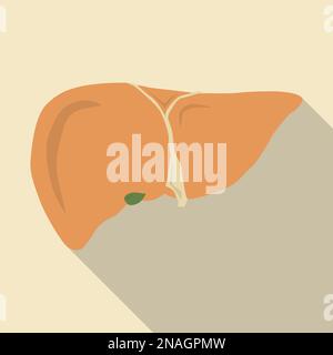 Fatty liver. Simple cartoon flat vector illustration with long shadow ...