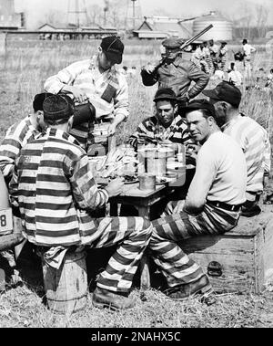 The 8-hours working day has finally come to the chain gangs of the Bibb ...