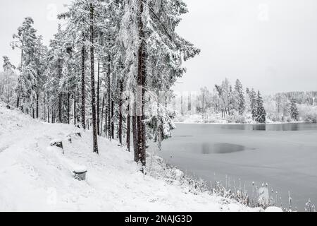 Pear Tree Pond Harz in Winter Stock Photo - Alamy