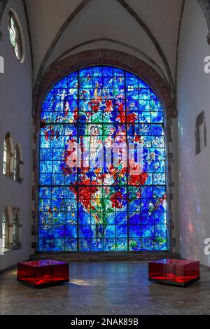 France, Lorraine, Moselle, Sarrebourg, chapel of Cordeliers, stained ...