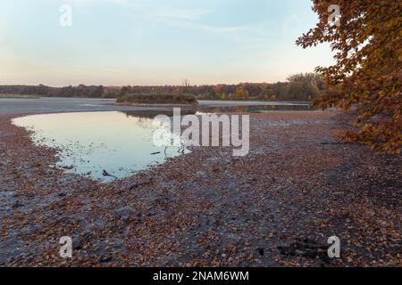 A puddle of water on a drained pond. Landscape Stock Photo - Alamy