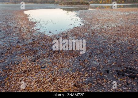 A puddle of water on a drained pond. Landscape Stock Photo - Alamy