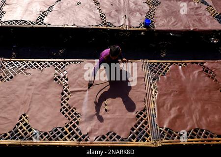 Dhaka, Dhaka, Bangladesh. 13th Feb, 2023. Workers dye leather and dry ...