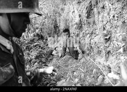Vietnamese soldiers capture a communist Viet Cong guerrilla hiding in ...