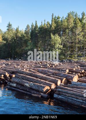 Log rafts floating Stock Photo - Alamy