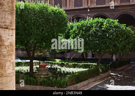 Beautiful garden with lemon trees, Rome. Magnificent architecture of ...