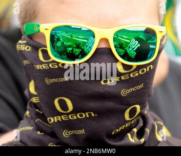 An Oregon State fan is shown during an NCAA college football game ...