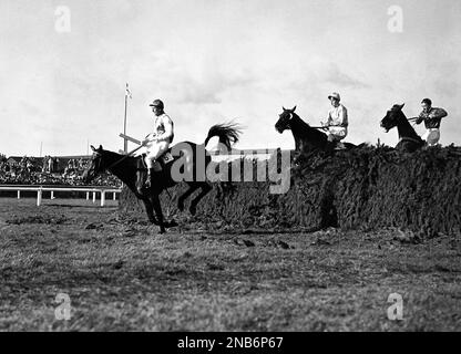 Randolph Scott, right, and his second wife, actress Patricia Stillman ...