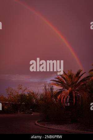 Tucson, Arizona during monsoon season Stock Photo - Alamy