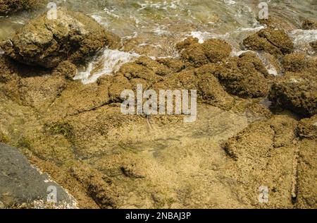 Penca Beach, beautiful hidden beach in the province of Guanacaste Costa ...